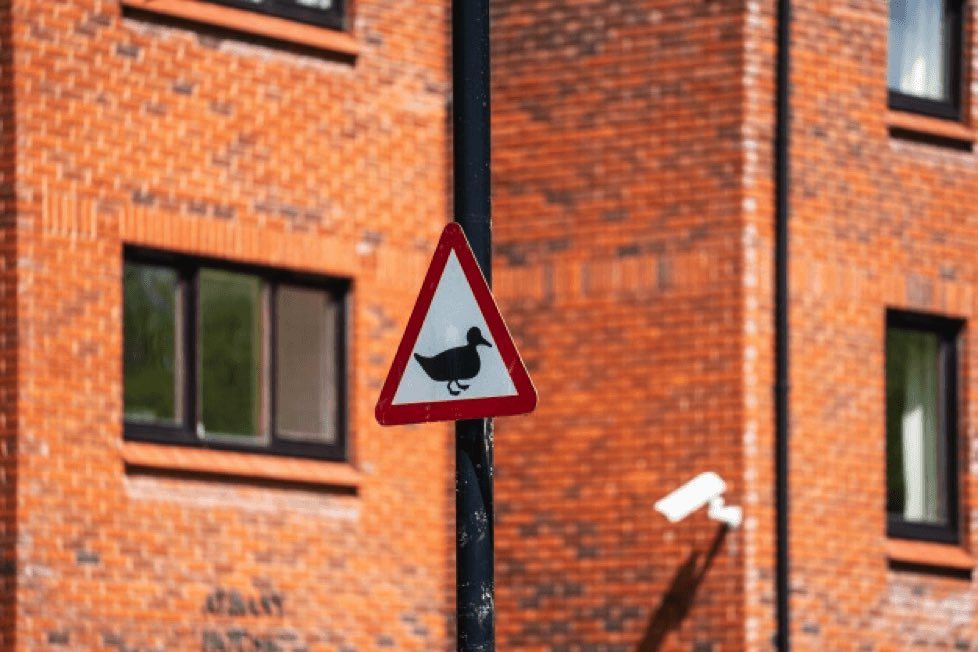 Feux Tricolores I Comment Fonctionnent ces Feux de Signalisation