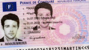 Permis Provisoire | Comment Ça Marche
